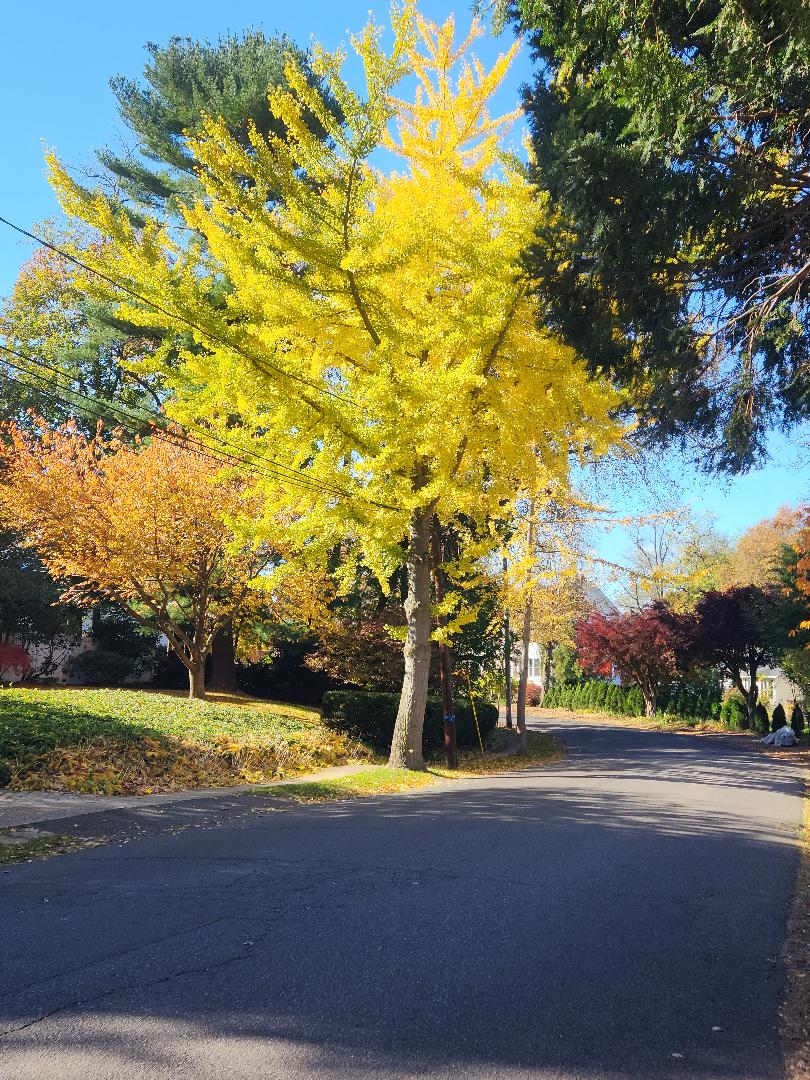 Your Superpower – Living Lotus Group