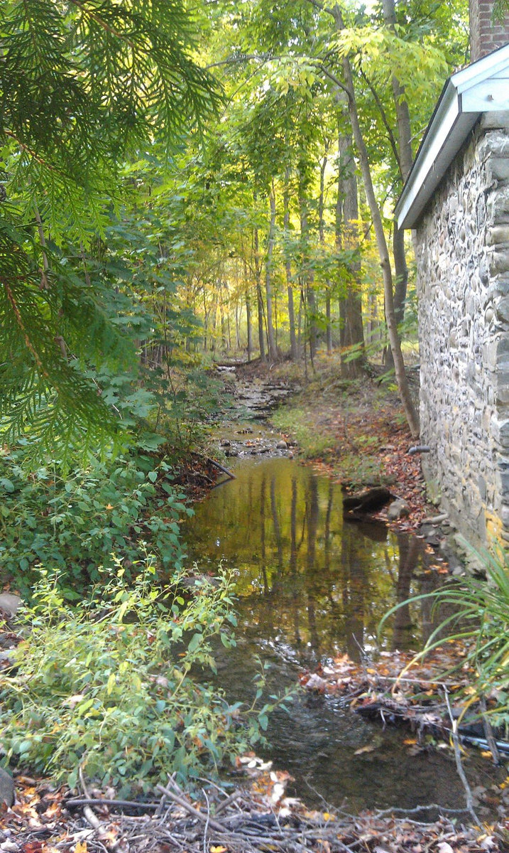 Inspiration and Shop News! – Living Lotus Group